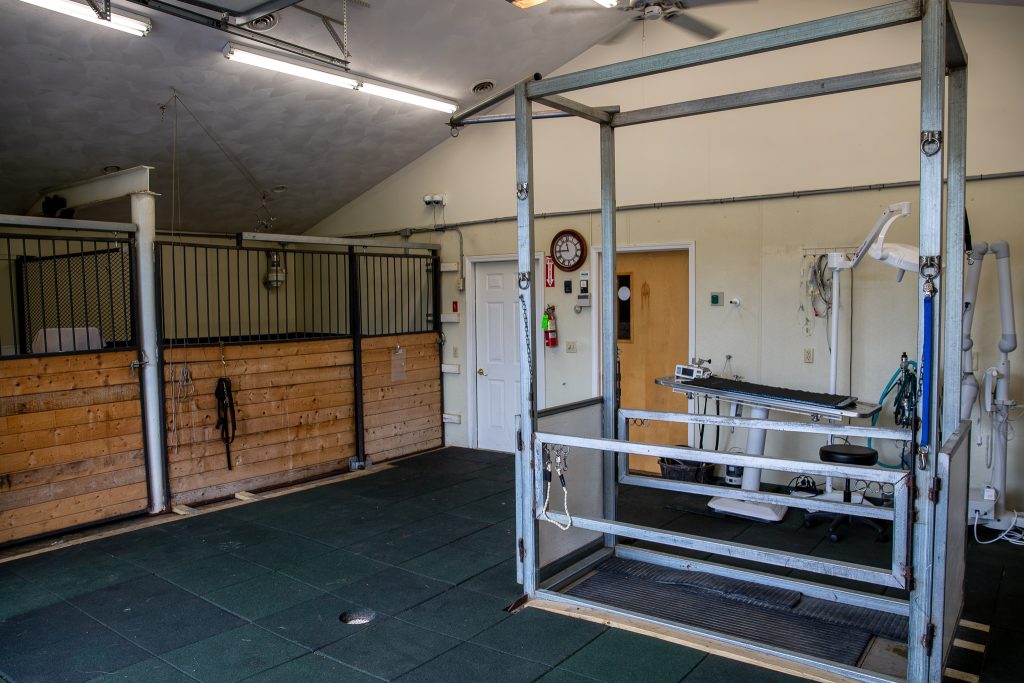 Lg Animal Area | Valley Veterinary Associates